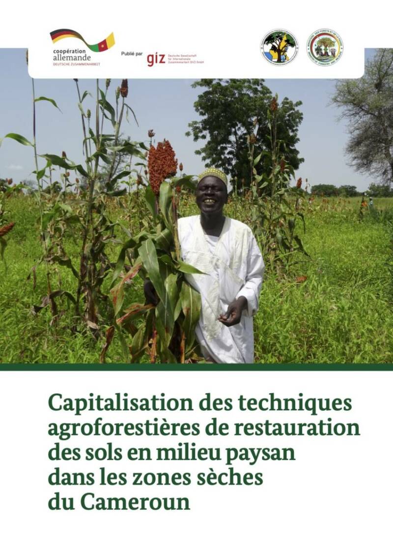 Capitalising Agroforestry Techniques for Soil Restoration - SNRD Africa