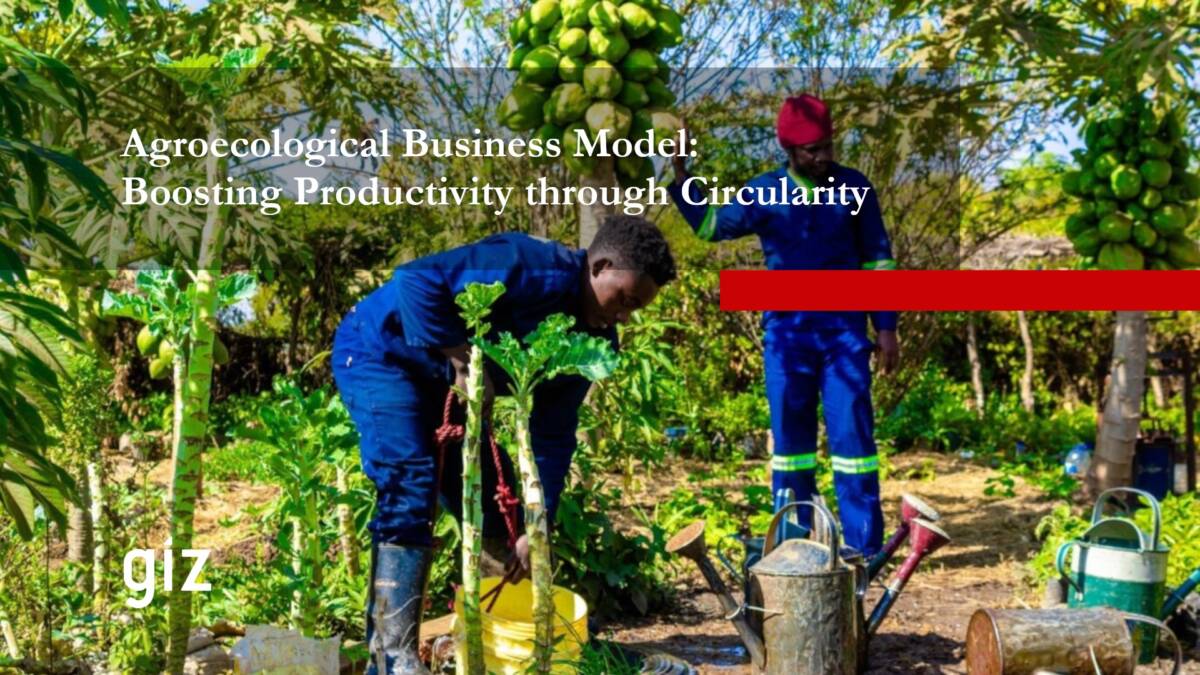 👉 Agroecological Business Model: Boosting Productivity With Circularity ...