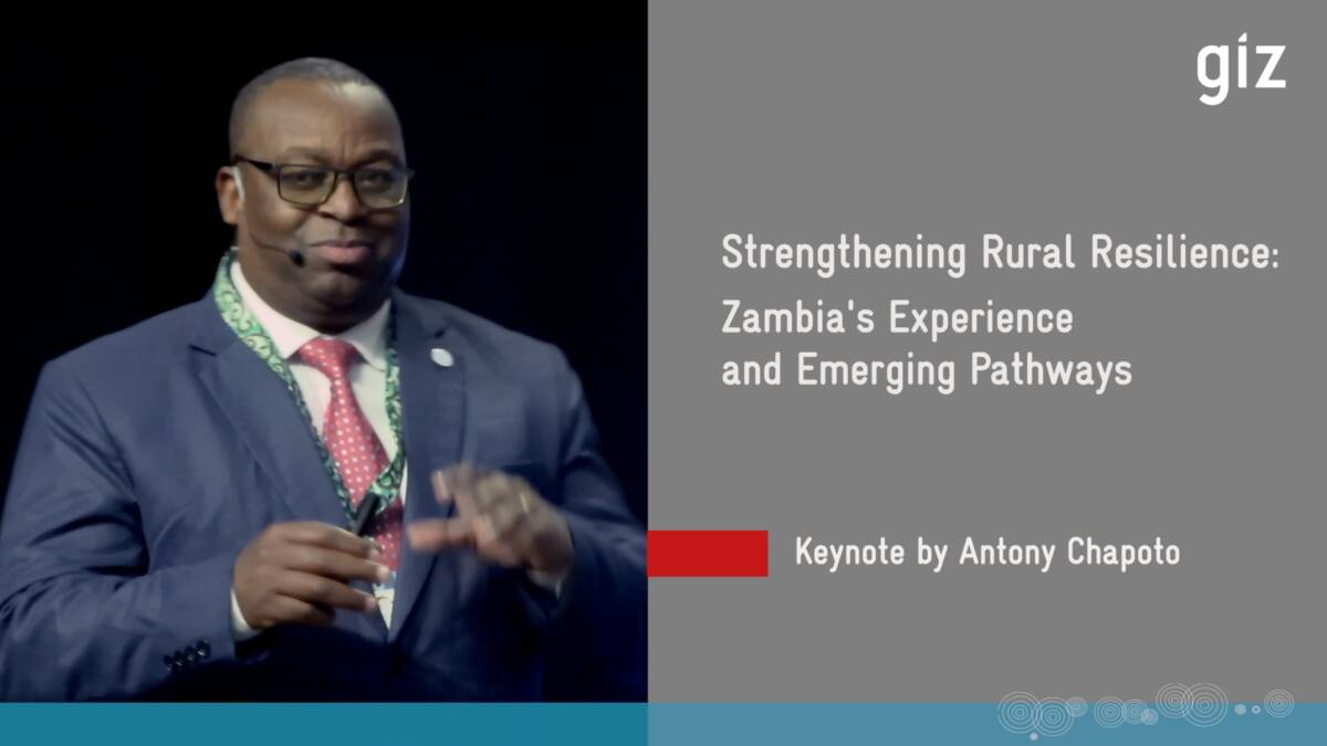 Moving Beyond Short-Term Fixes: Anthony Chapoto on Rural Resilience in ...